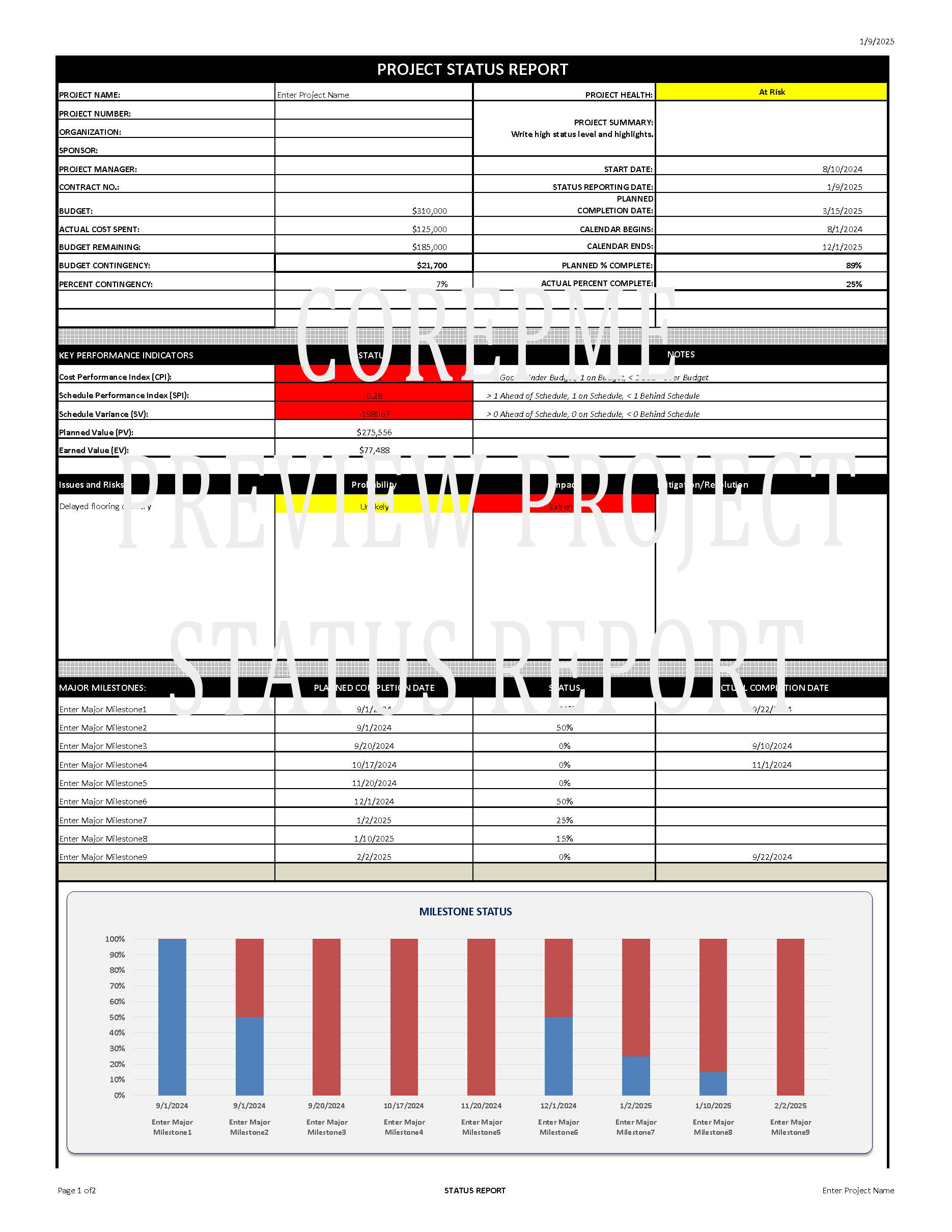 excel status report template